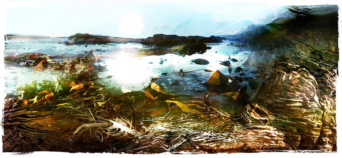 Janet Botes: Artist film and Interview