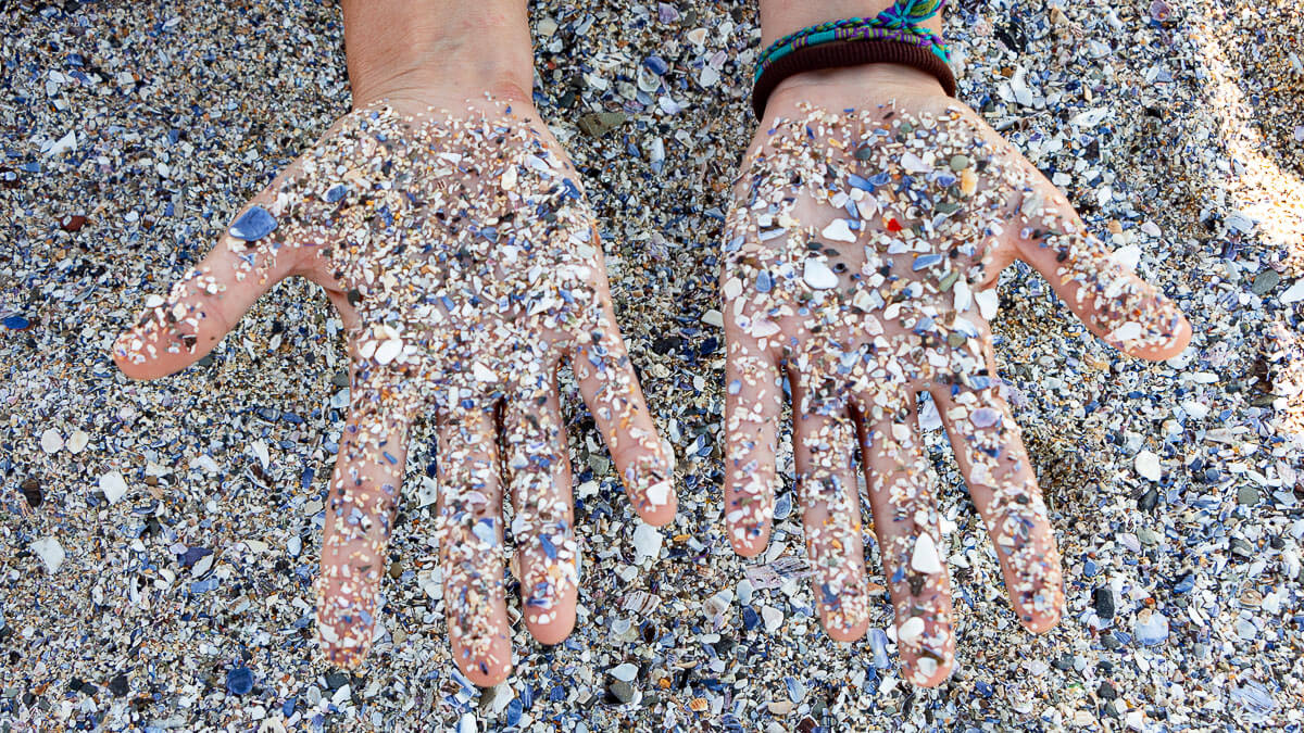 Janet Botes: Artist film and Interview