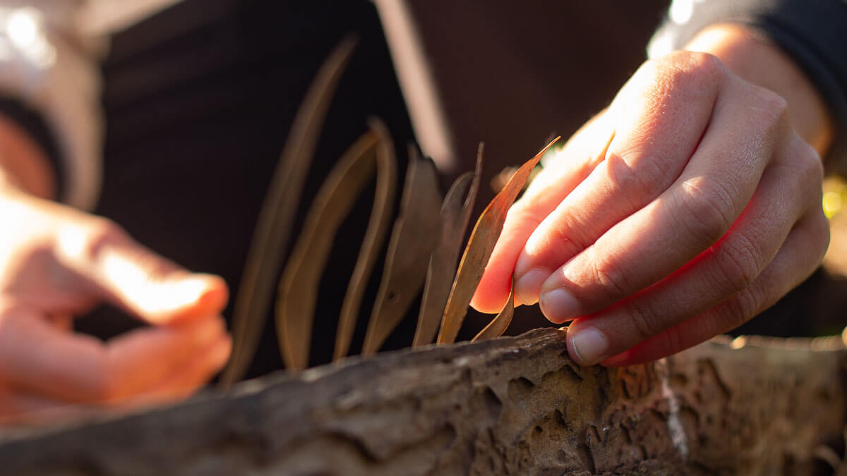 Janet Botes: Artist film and Interview